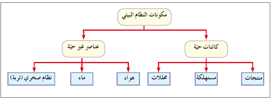 منهاجي - مفهوم البيئة