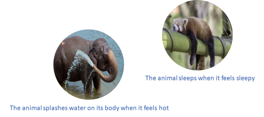 منهاجي - Behaviour of living things